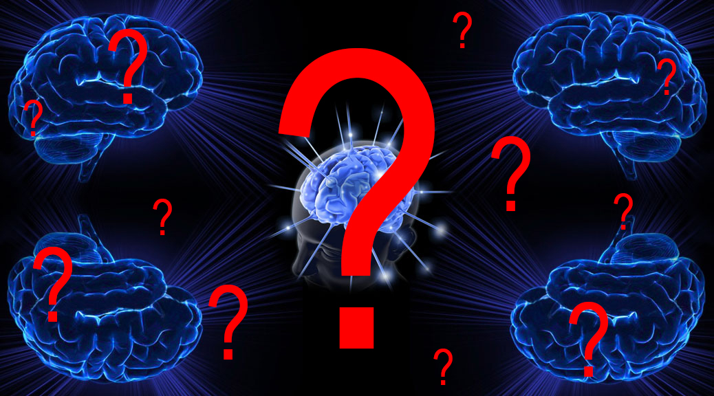 Inquiring Minds Want To Know! [UPDATE NOTES] – Society's Building Blocks